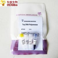 China High quality Taq DNA Polymerase P1012 500U for sale