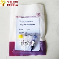 China Taq DNA Polymerase For PCR P1013 1000U for sale