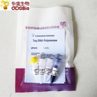 China Taq DNA Polymerase For PCR P1013 1000U for sale