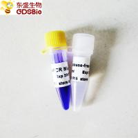 China 2x Taq PCR Reaction Mix P2011 1ml GDSBio Blue Buffer for sale
