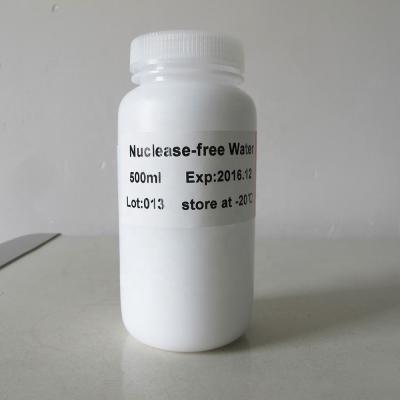 China Molecular Biology Grade Water Nuclease Free P9023 500ml for sale