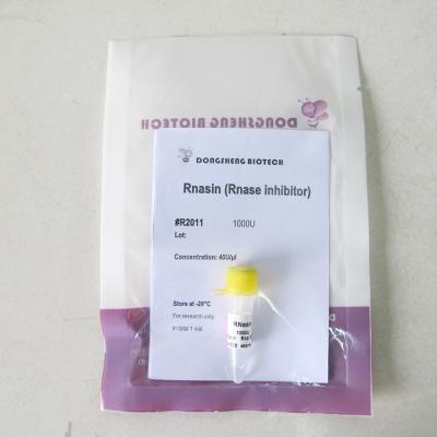 China R2011 1000U RNase Inhibitor In Vitro Transcription for sale