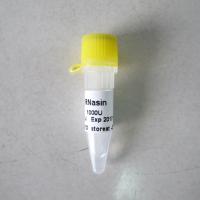 China R2011 1000U RNase Inhibitor In Vitro Transcription for sale