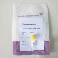 China R2031 20uL Random Hexamer Primer 6-Mer Colourless Appearance for sale