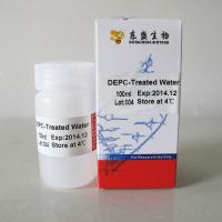 China 30ml  100ml DEPC Treated Water R2041 R2042 Colourless Appearance for sale