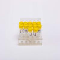 China 40/400/2000 Reactions 2X NGS Multi Plex PCR NM1001 NM1002 NM1003 for sale