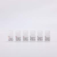 China 40/400/2000 Reactions 2X NGS Multi Plex PCR NM1001 NM1002 NM1003 for sale