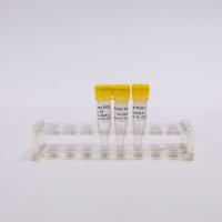 China ARTIC SARS-CoV-2 NGS Library Construction Multiplex PCR Kit for sale