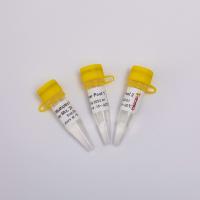 China ARTIC SARS-CoV-2 NGS Library Construction Multiplex PCR Kit for sale