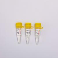 China ARTIC SARS-CoV-2 NGS Library Construction Multiplex PCR Kit for sale