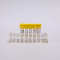 China ARTIC SARS-CoV-2 NGS Library Construction Multiplex PCR Kit for sale