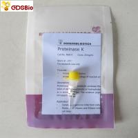 China 20mg 1ml  Proteinase K Solution N9011 Colourless Appearance for sale