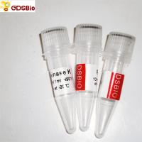 China Molecular Biology Grade Proteinase K Solution N9012 for sale