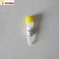 China Molecular Biology Grade Proteinase K Solution N9012 for sale