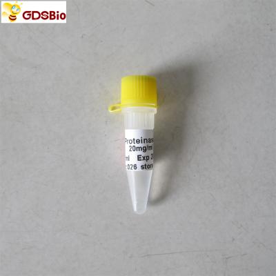 China Molecular Biology Grade Proteinase K Solution N9012 for sale