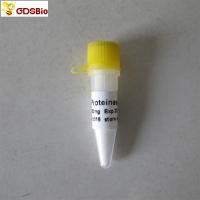 China Proteinase K Powder N9016 Molecular Biology Grade In Vitro Diagnostic Products for sale