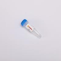 China Heat Labile Anti Contamination UDG Enzyme Molecular Biology R5001 for sale
