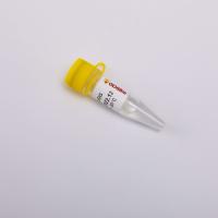 China Heat Labile Anti Contamination UDG Enzyme Molecular Biology R5001 for sale