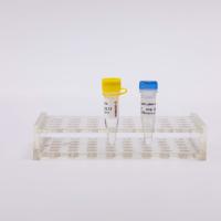 China Heat Labile UDG  anti-contamination enzyme R5002 for sale