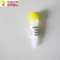China dATP #P9071 1ml PCR qPCR for sale
