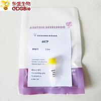 China dATP #P9071 1ml PCR qPCR for sale
