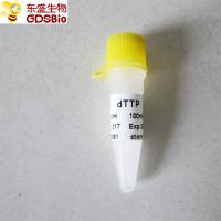 China dTTP #P9081 1ml PCR qPCR for sale