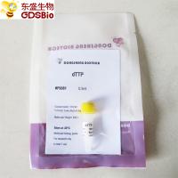 China dTTP #P9081 1ml PCR qPCR for sale