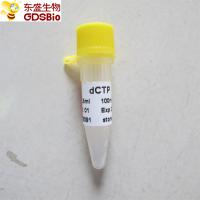 China dCTP #P9091 1ml PCR qPCR for sale