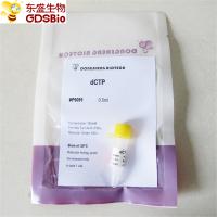 China dCTP #P9091 1ml PCR qPCR for sale