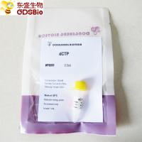 China dCTP #P9091 1ml PCR qPCR for sale