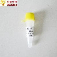 China dGTP #P9101 1ml PCR qPCR for sale