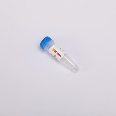 China dUTP #P9071 1ml PCR qPCR for sale