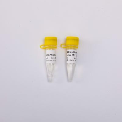 China 1ml 2X NGS Multiplex PCR Master Mix 40 Reactions GDSBio for sale