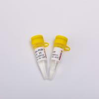 China 40 Reactions NGS Library Construction 2X Master Mixture For PCR for sale