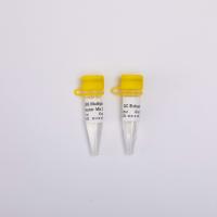 China 40 Reactions NGS Library Construction 2X Master Mixture For PCR for sale