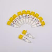 China NGS Multiplex 2X PCR Master Mix 400 Reactions Colourless for sale