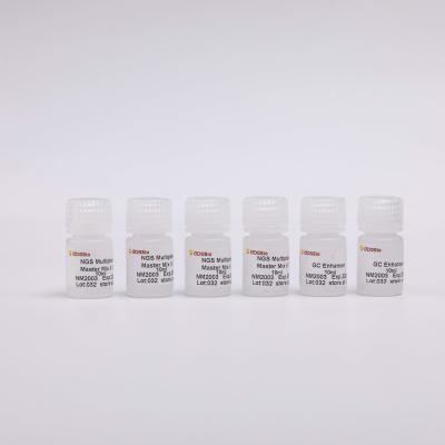 China 2X 1ml NGS Library Construction Multiplex PCR Master Mix for sale