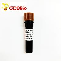 China Non Toxic DSRed Nucleic Acid Gel Stain 10000x 0.5ml for sale