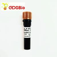 China Non Toxic DSRed Nucleic Acid Gel Stain 10000x 0.5ml for sale