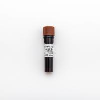 China GDSBio 20000x DSViewTM Nucleic Acid Stain 1ml Specific Reagents for sale