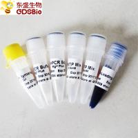 China GDSBio Taq DNA Polymerase For PCR Master Mix for sale