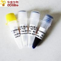 China GDSBio Taq DNA Polymerase For PCR Master Mix for sale