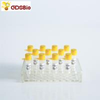 China Power Green QPCR Mix Low ROX+ for ABI roche Real Time PCR 5ml for sale