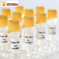 China Power Green QPCR Mix Low ROX+ for ABI roche Real Time PCR 5ml for sale