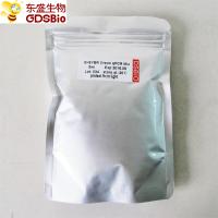 China SYBR Green qPCR Mix low ROX+ for Roche ABI DNA real time PCR 5ml for sale