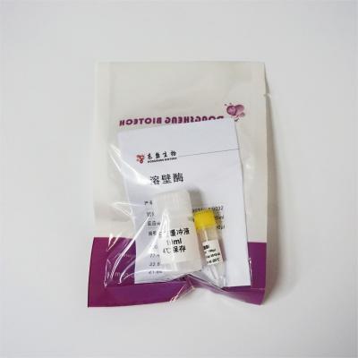 China 150ul 300ul Lyticase Enzyme N9032 Colourless Solution for sale