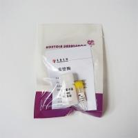 China Lyticase Digest Yeast Cell Walls Enzyme N9031 In Vitro Diagnostic Products for sale