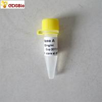 China GDSBio N9042 1ml RNase A Solution Colourless Solution for sale