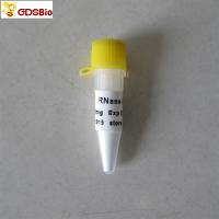 China N9046 100 mg In Vitro Diagnostic Products RNase A Powder for sale
