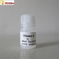 China White Powder RNase A Powder Cat. No.N9047 1g GDSBio for sale